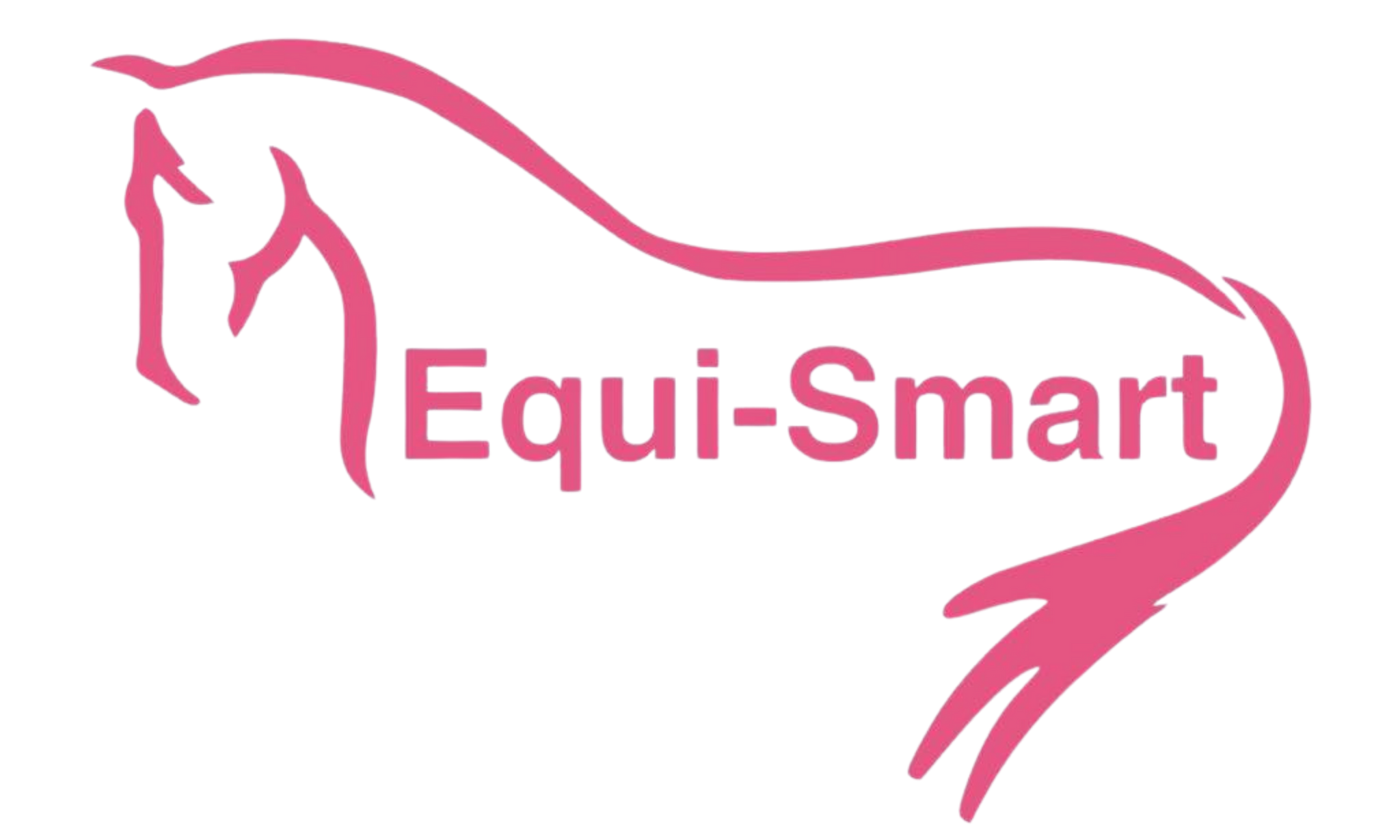 SALE – Page 2 – Equi-Smart