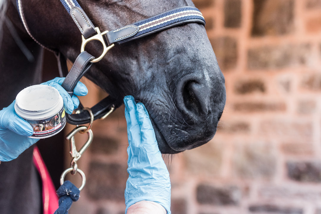 Enhancing Gloss – Equi-Smart